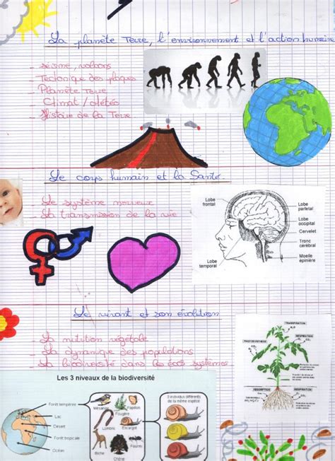 Programme SVT 5ème 4ème 3ème collège cycle 4 1 Vive les SVT Les
