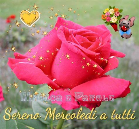 50 Buon Mercoledì immagini con frasi CiaoBuongiorno it