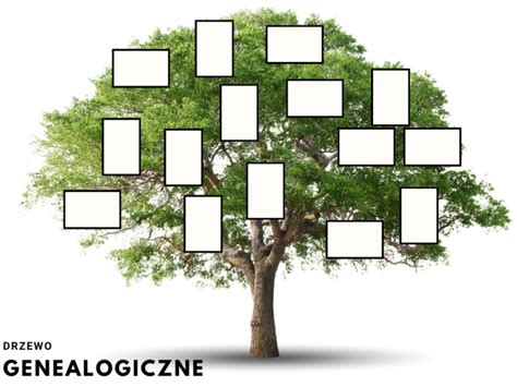 Wzór jak zrobić drzewo genealogiczne do szkoły Moleo pl