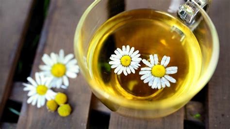 Infusiones De Manzanilla Milagro O Mito Esto Dice La Ciencia