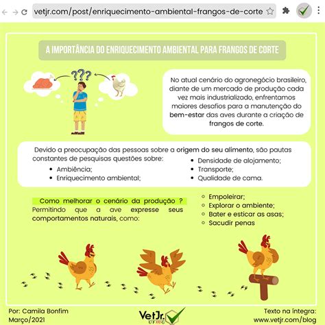A Import Ncia Do Enriquecimento Ambiental Para Frangos De Corte