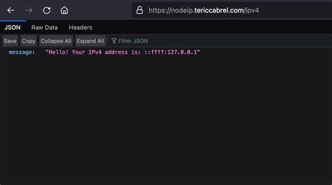 Get The User IP Address In A Node Js Application With Express