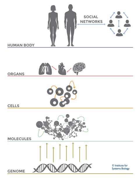 Systems Biology 101 Network Of Networks Institute For Systems Biology