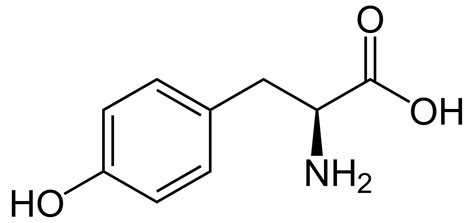 Tyrosine L I Ch T C D Ng Ph V Li U L Ng Vinmec