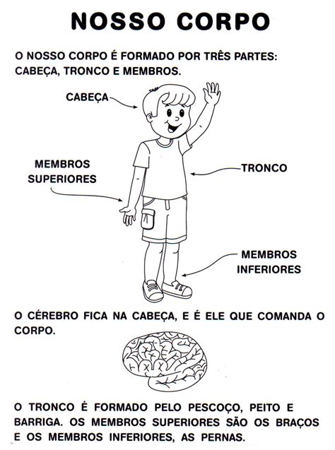 ALFABETIZAÇÃO DIVERTIDA ATIVIDADES SOBRE CORPO HUMANO