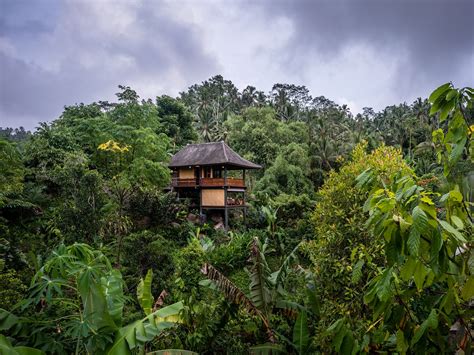 Balinese New Year Bali Eco Stay Nurtured By Nature Riset