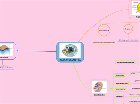 ZELULA EUKARIOTOA Mind Map