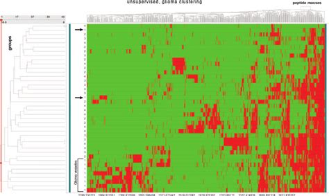 Heat Map Of Unsupervised Clustering Of The Four Groups By Spotfire