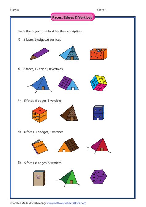 Faces And Vertices