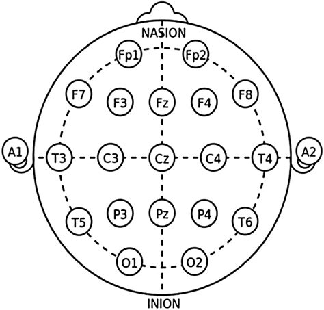 review of eeg based pattern classification frameworks for dyslexia brain informatics full text
