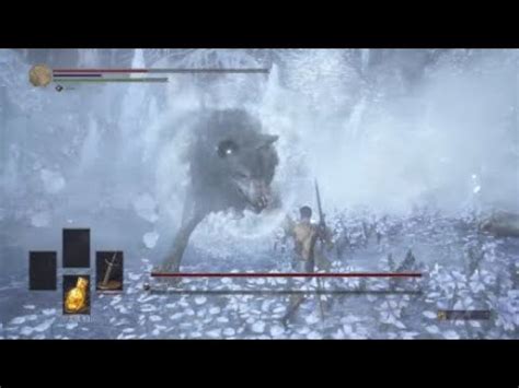 Dark Souls Dlc Naked No Healing Ng Youtube