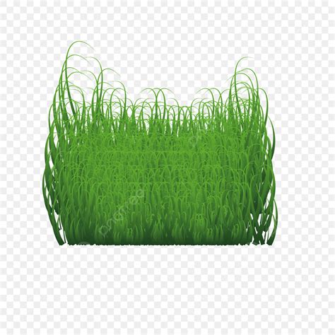 Green Grass Vector Hd PNG Images Grass Vector Design Green Grass