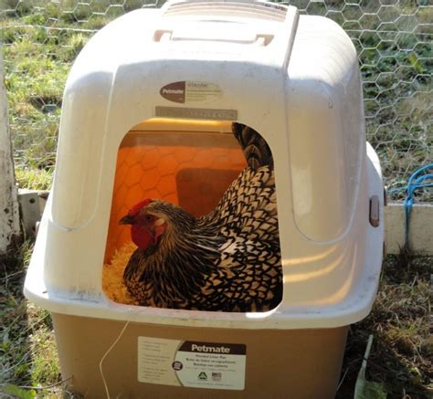 21 DIY Nesting Box Plans And Ideas You Can Build In One Day
