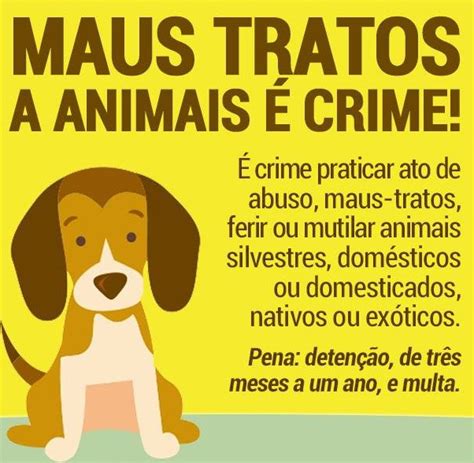 Maus tratos de animais Denuncie Serviços da Internet
