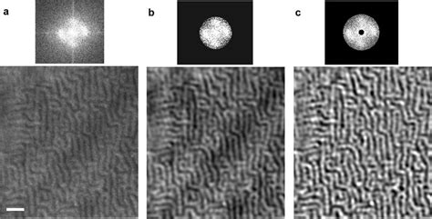 noise filter a 2d fourier transform of the plan view image taken under download scientific