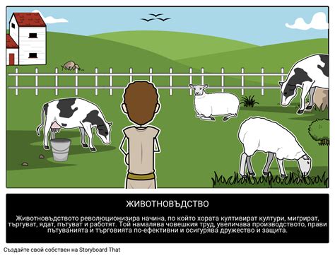 Storyboard Por Bg Examples