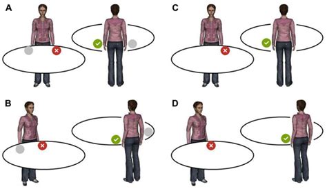examples of ais stimuli the task of the observer is to decide whether download scientific