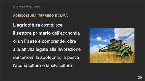 LE LAVORAZIONI DEL TERRENO LE LAVORAZIONI DEL TERRENO
