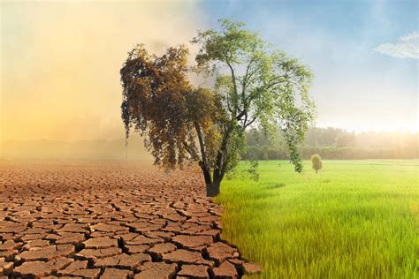 As Mudanças Climáticas São Um Dos Principais Problemas Ambientais