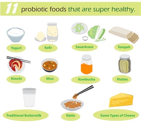 Infografía de alimentos probióticos Vector Premium