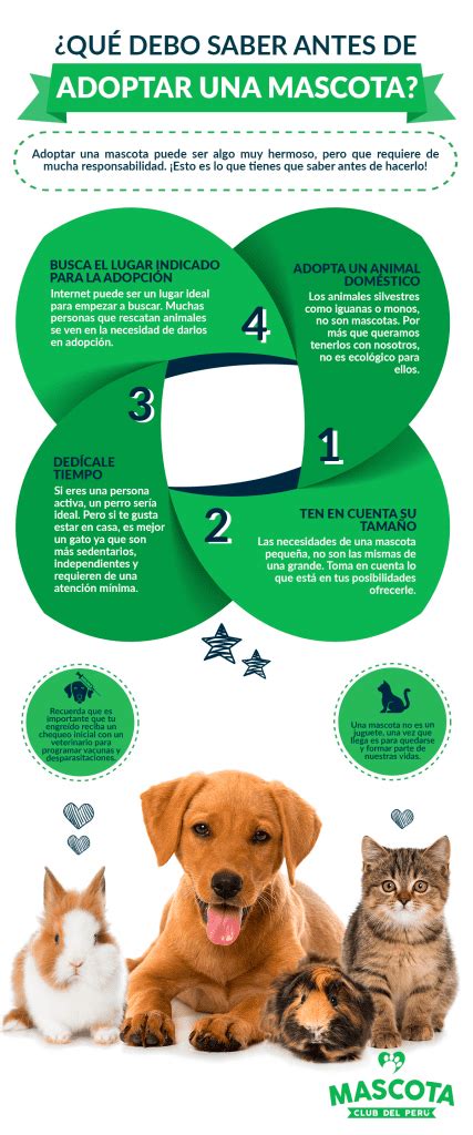 Mascotaclub Qu Debo Saber Antes De Adoptar Una Mascota Infografia