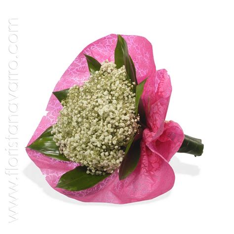 Details 48 Nube Rosa Planta Abzlocal Mx