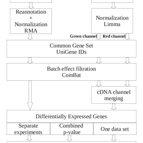 scheme of the proposed microarray data integration procedure download scientific diagram