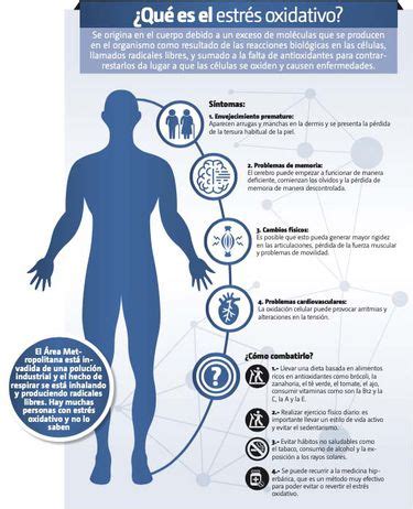 Que es el estrés oxidativo y cómo combatirlo PorEstrés