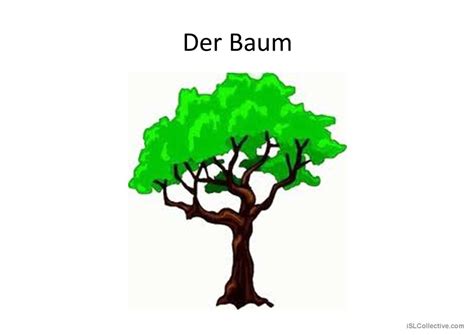 Was Passt Alles Nicht Deutsch DAF Powerpoints