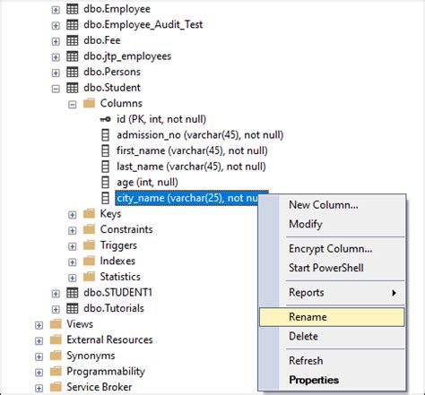 How To Rename Column Name In Table Sql Server 2017 Brokeasshome