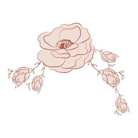 Gambar Ilustrasi Bunga Telanjang Coklat Krem Peony Vektor Kecantikan