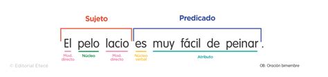 Modificador Indirecto Qu Es Y Ejemplos Lenguaje