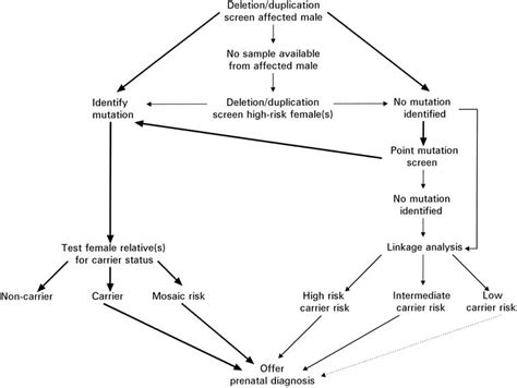 Molecular And Mendelian Disorders GLOWM