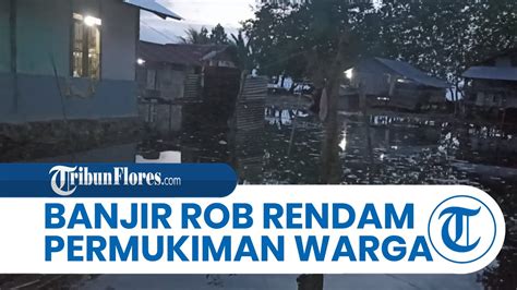 BREAKING NEWS Banjir Rob Kembali Rendam Permukiman Warga Desa Talibura
