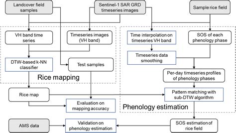 mapping paddy rice and rice phenology with sentinel 1 sar time series using a unified dynamic