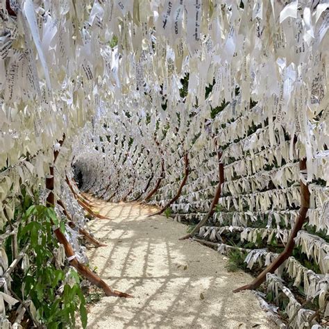 Santuario Maria Desatadora De Nudos Jardines Del Sur Cancún Q Roo