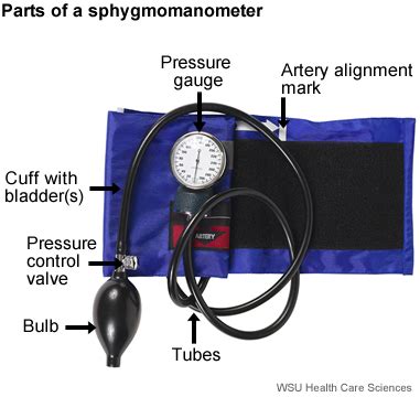 Blood Pressure Cuff Selection And Sizing