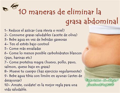 Como Eliminar Grasa Abdominal Como Eliminar Grasa Reducir Grasa