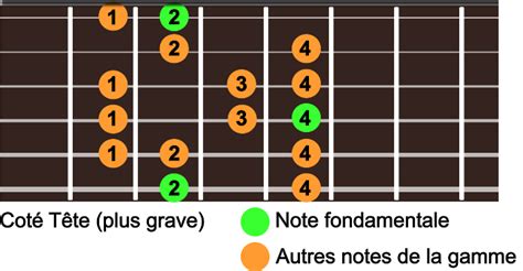 Apprenez Les Gammes La Guitare Guitare Me