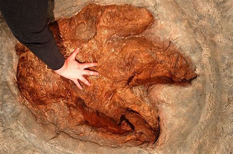 T Rex Steckbrief 10 Fakten über Tyrannosaurus Dinosaurier
