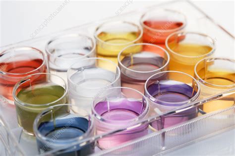 Testing Solutions For PH Stock Image C052 6672 Science Photo Library