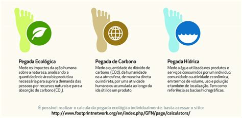 Pegada De Carbono Carbon Footprint IGUi Ecologia