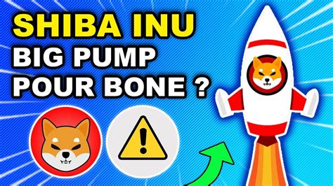 Shiba Inu Le Bone Va Exploser Avec Shibarium Bonne News Pour Shib