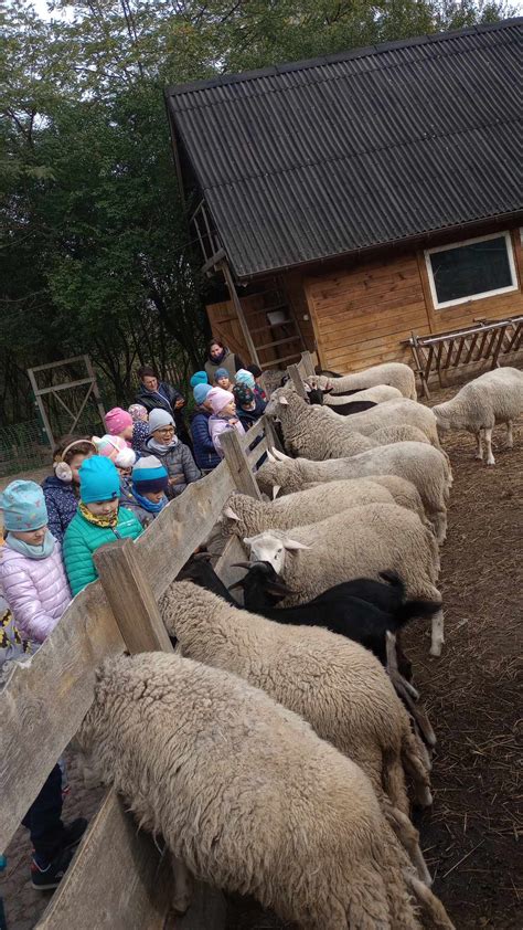 Wymysły pod lasem SP w Zielonkach Parceli