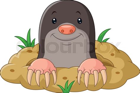 Cartoon Funny Mole Stock Vector Colourbox