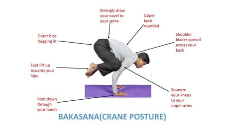 Contraindications Of Ashtanga Surya Namaskara Karuna Yoga Vidya