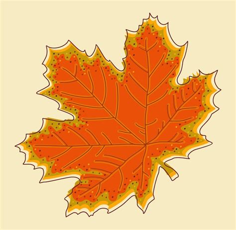 Ilustraci N Aislada Vectorial De La Hoja De Arce Vector Premium