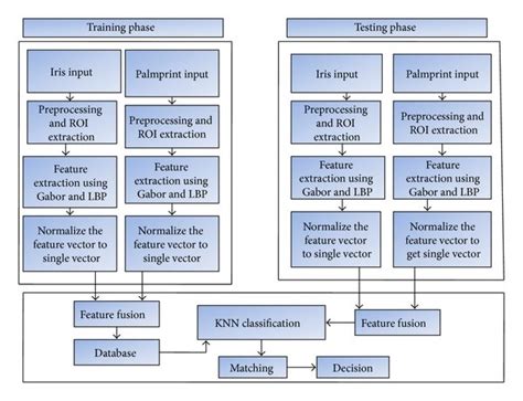 proposed feature fusion multimodal biometric system download scientific diagram