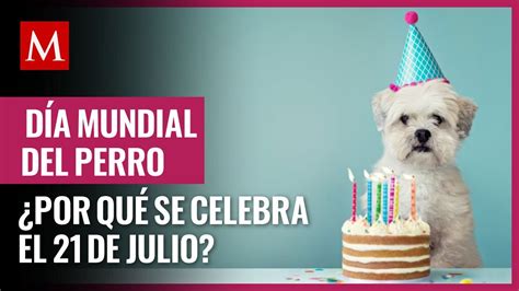Por qué se celebra el Día Mundial del perro el 21 de julio YouTube