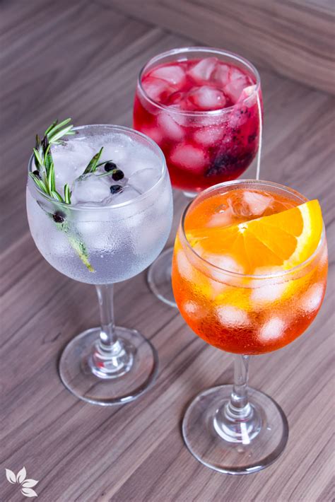 Receitas de Gin Tônica Como fazer drinks Gin